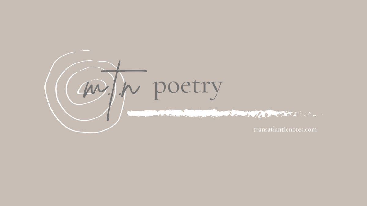 Hidden Strength and Survival: A Path Forward (A Poem) – transatlantic ...