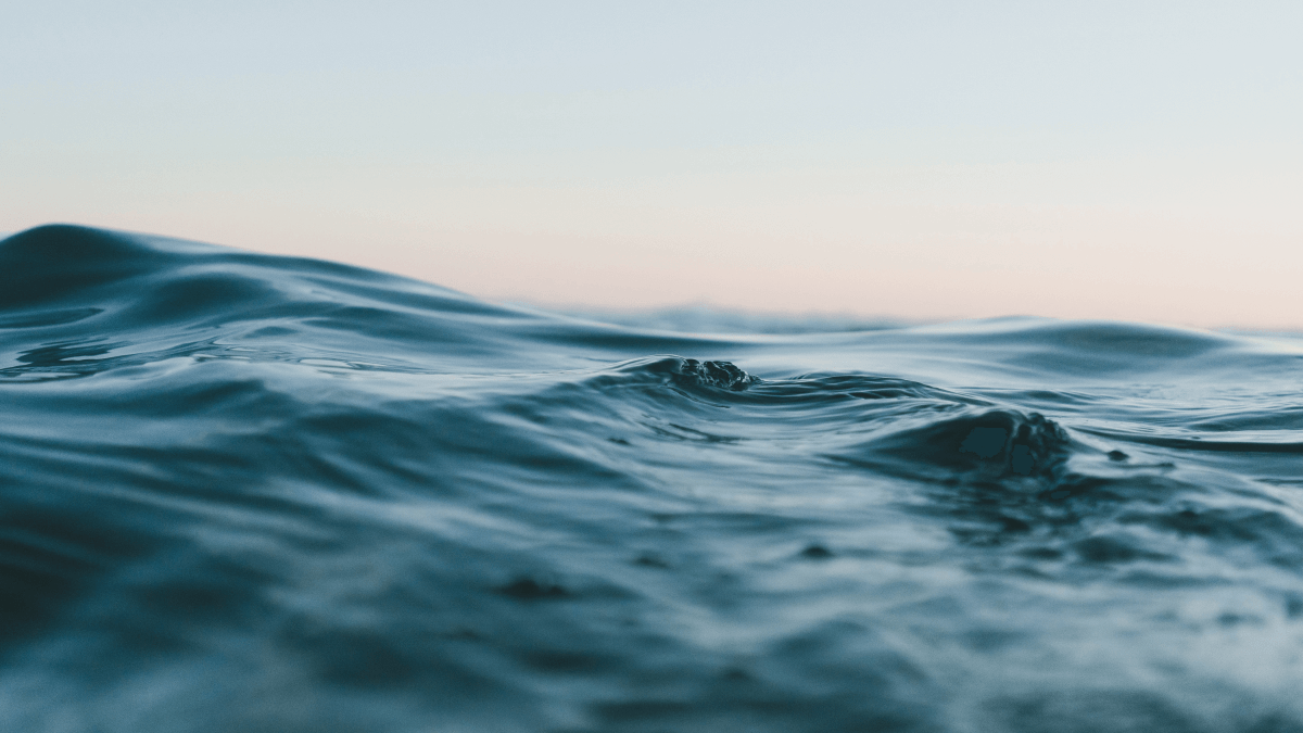 Life In The Ocean: Protecting What Sustains Us – transatlantic | notes