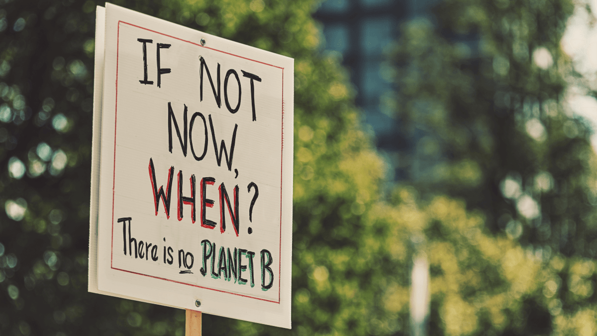 Delaying Innovative Climate Action and Its Hidden Costs – transatlantic ...