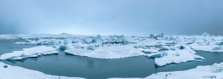 Survival in the Arctic: Animals Impacted by Climate Change ...
