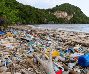 Exciting Research Paving the Way to a Plastic-Free Future ...