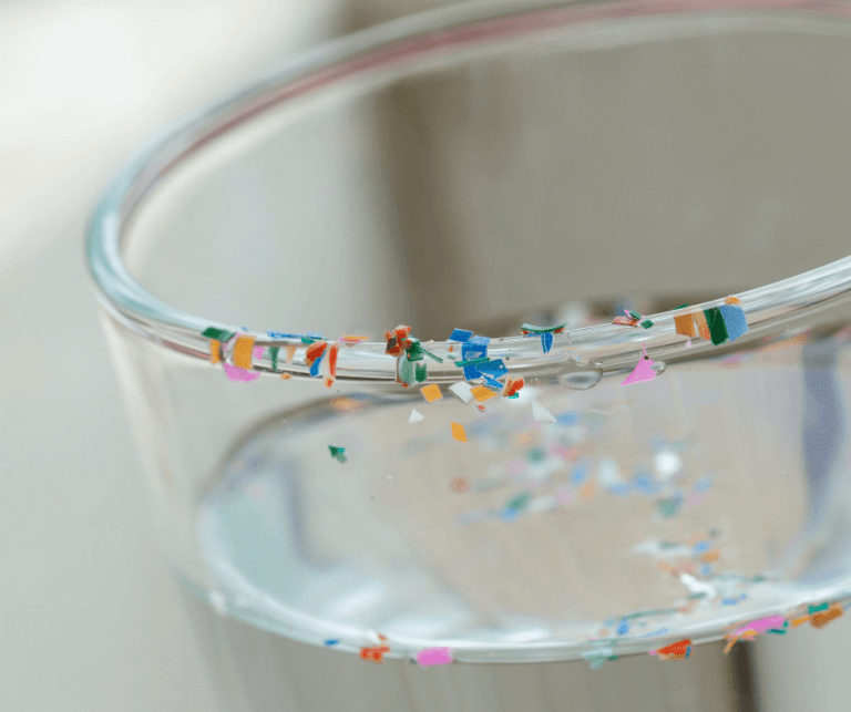 Microplastics in Your Body: What You Need To Know – transatlantic | notes