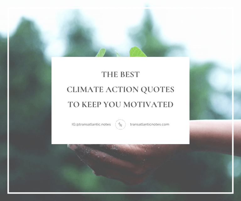 The Best Climate Action Quotes To Keep You Motivated – transatlantic ...